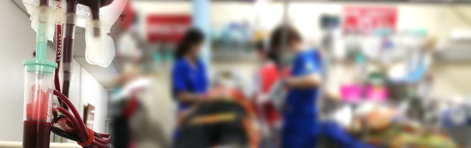 Hemoclear - Red Blood Cell Filter enabling autologous blood transfusion