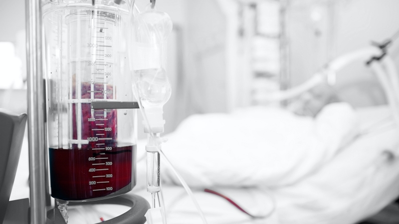 The World Is Experiencing a Critical Blood Shortage - Hemoclear News
